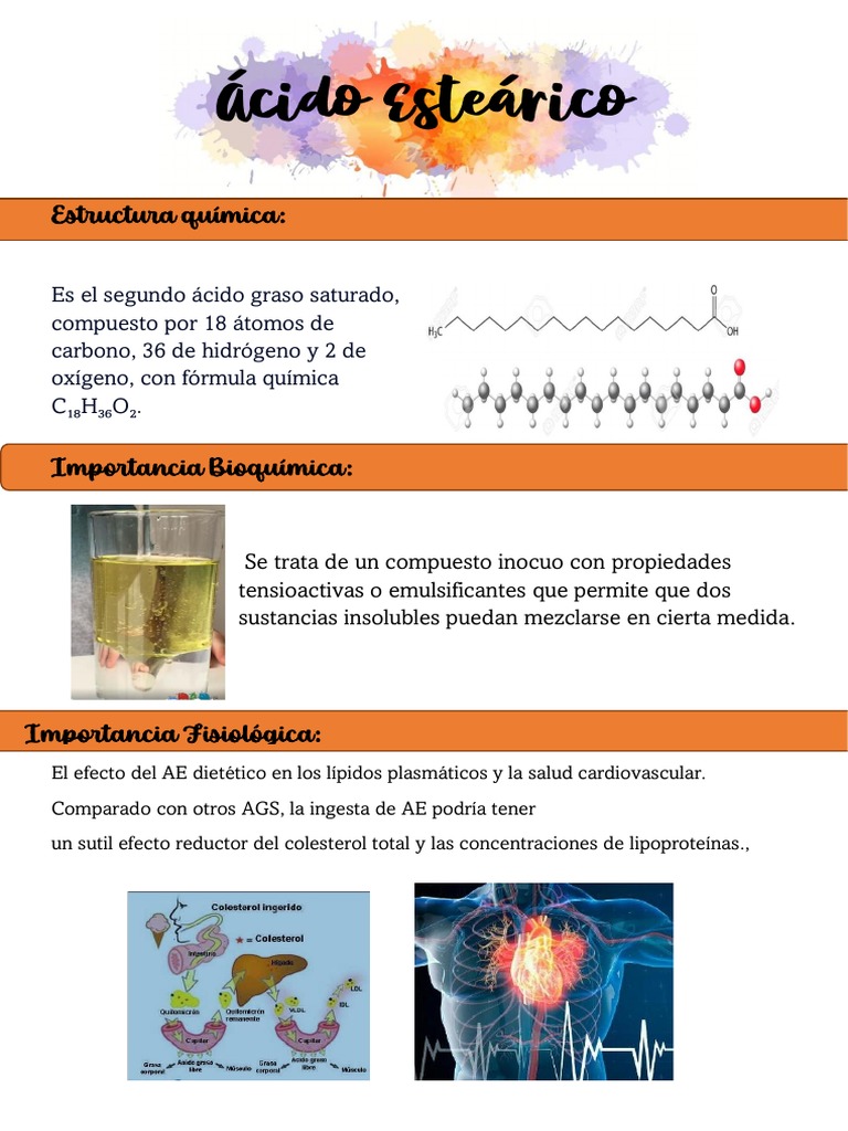 Estructura y fórmula del ácido esteárico | PDF | Ciencia y matemáticas