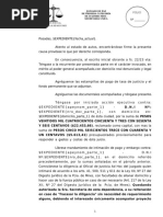 Caratula Expediente Judicial Modelo | PDF