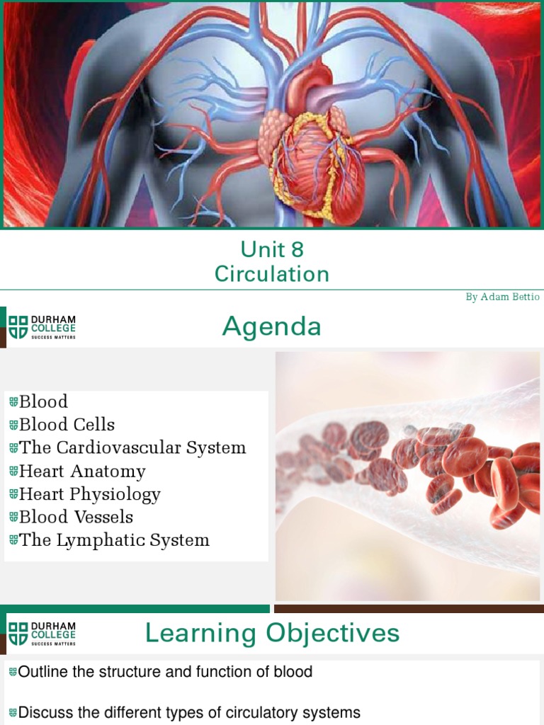 Biol 2301 - Unit 8 - Circulation Student | PDF | Heart Valve | Heart Biol 2301 - Unit 8 - Circulation Student | PDF | Heart Valve | Heart
