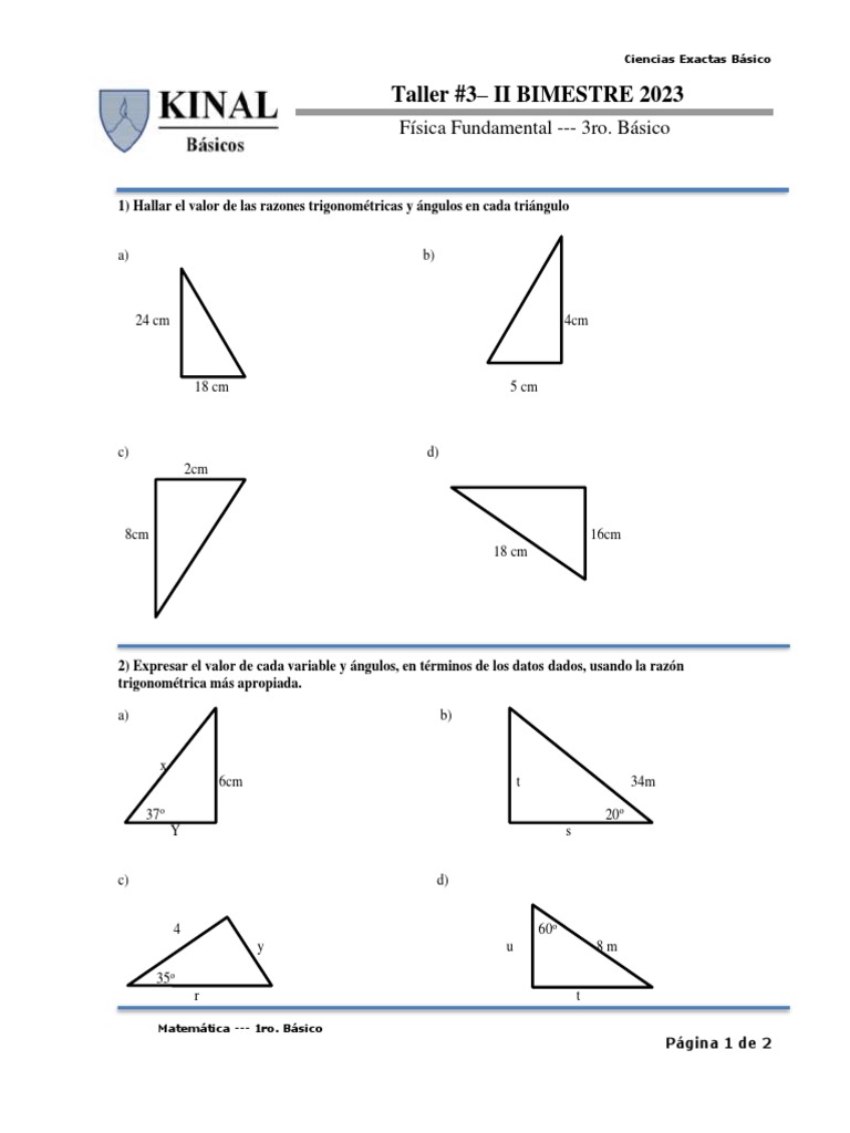 Tarea Fifu | PDF | Triángulo | Matemática Elemental