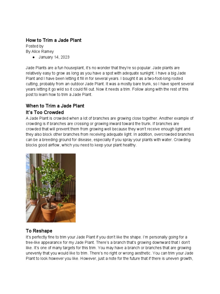How To Prune Jade Plant | PDF | Pruning | Botany