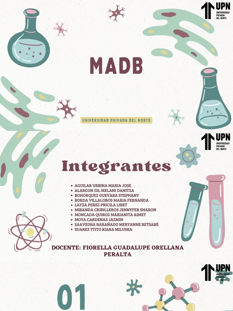 Madb - Guía Semana 1 | PDF