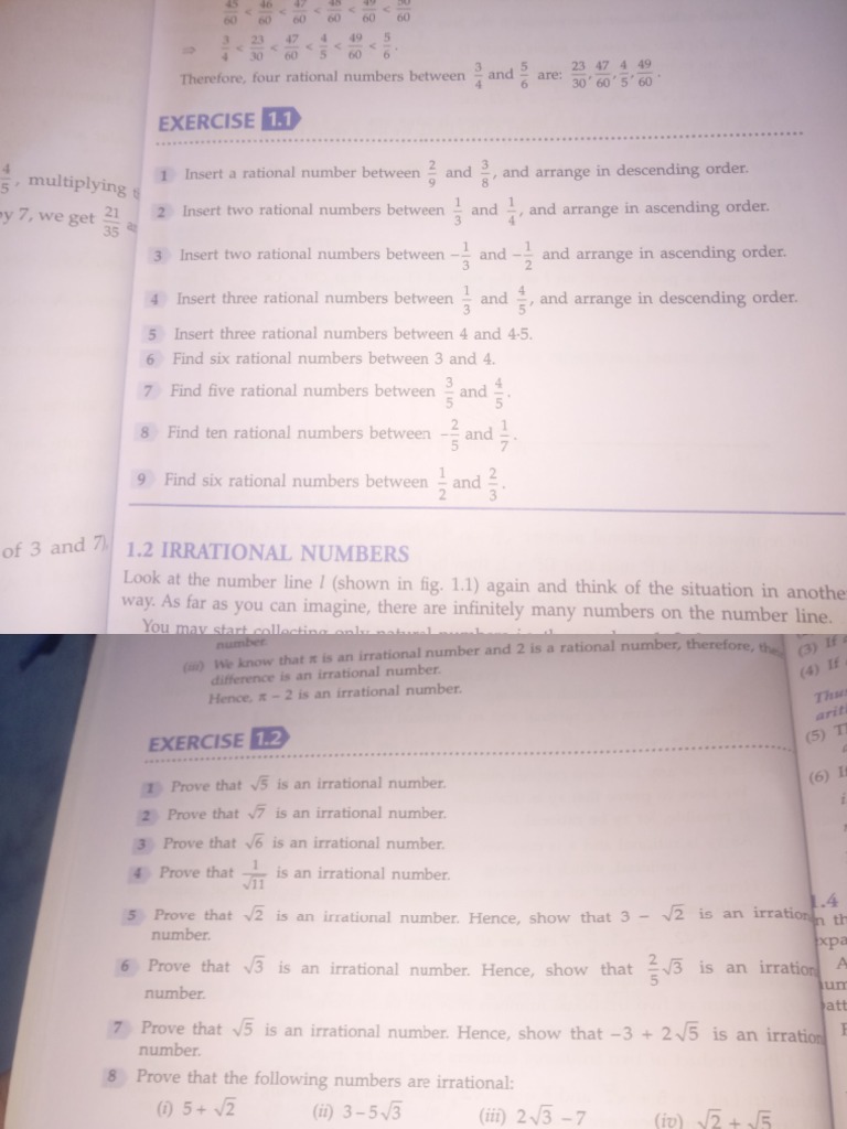 Irrational Numbers | PDF