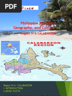 Region XI - Festivals | PDF | Festival | Cebu