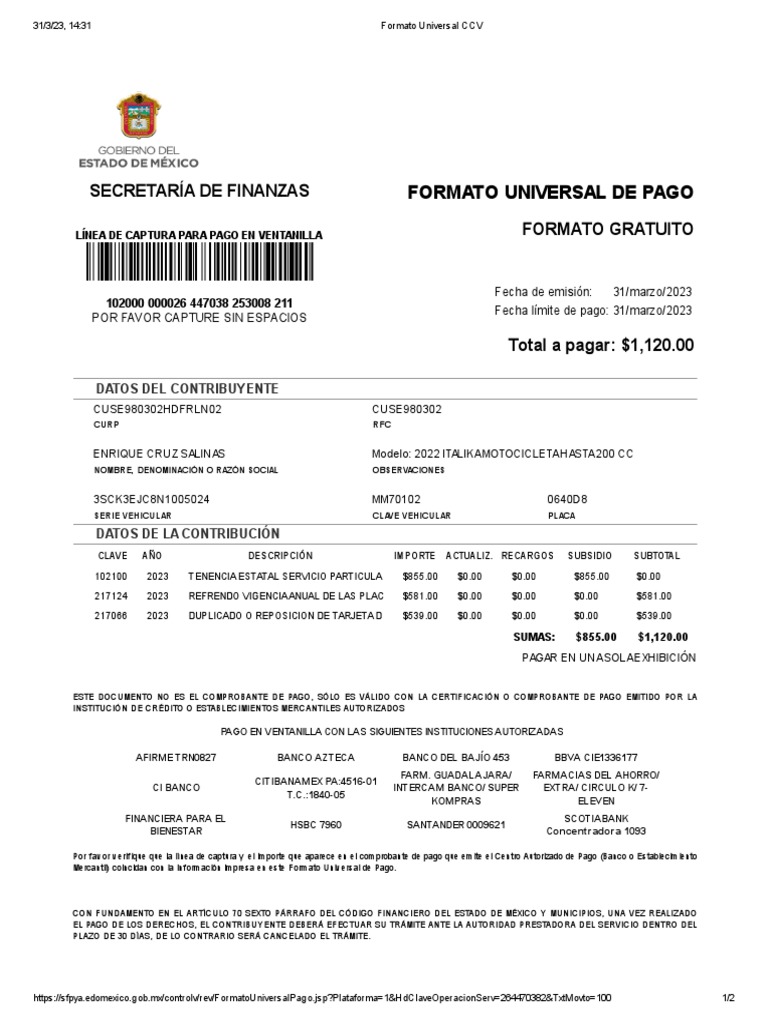 Formato Universal CCV | PDF