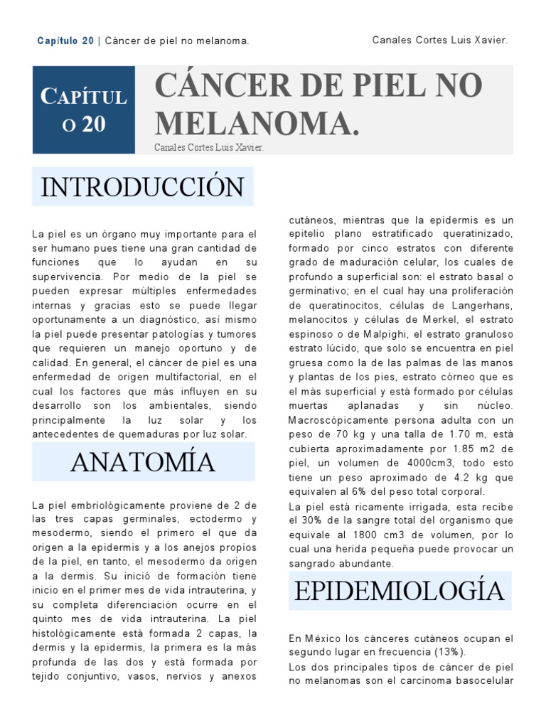 Cáncer de Piel No Melanoma.: Introducción | PDF | Cáncer | Piel
