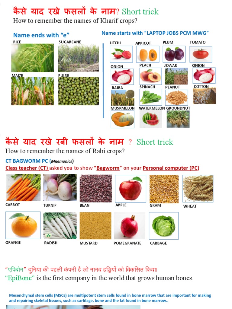 Short Trick: How To Remember The Names of Kharif Crops? | PDF