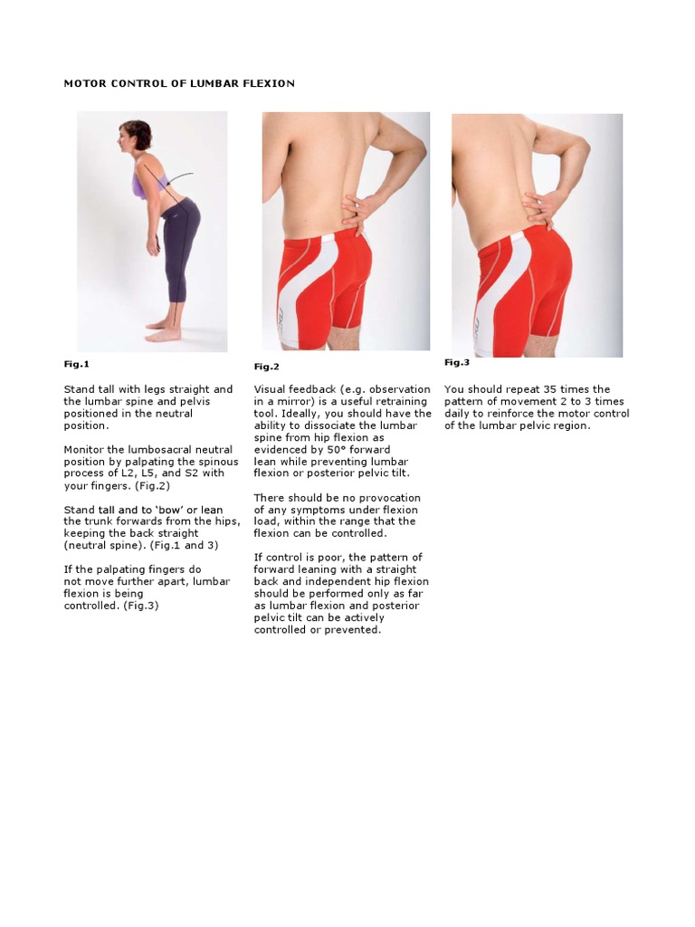 Motor Control of Lumbar Flexion Exercises | PDF