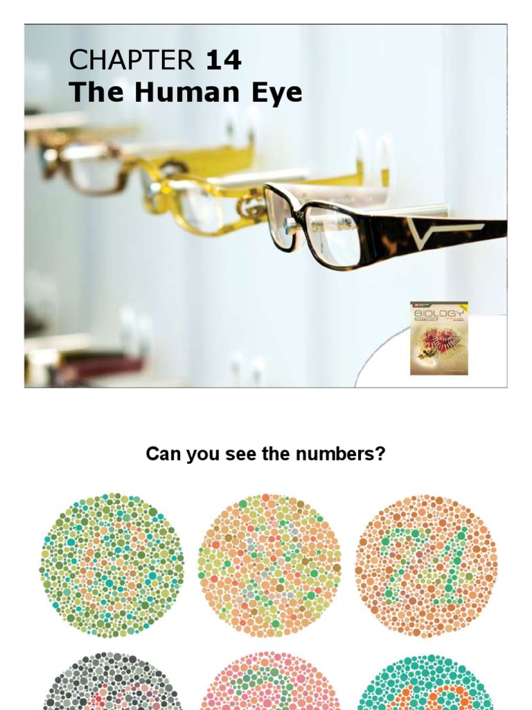 Human Eye Powerpoint Slides | PDF
