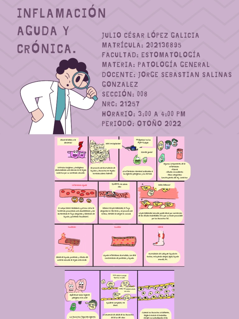 Inflamación Aguda y Crónica. | PDF | Inflamación | Especialidades Medicas