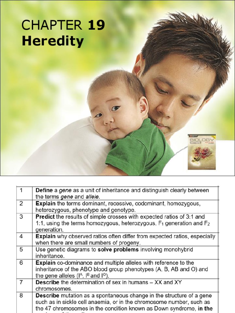 Heredity Powerpoint Slides | PDF
