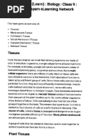 Class 9 Science: Tissues Revision Notes | PDF | Epithelium | Tissue ...
