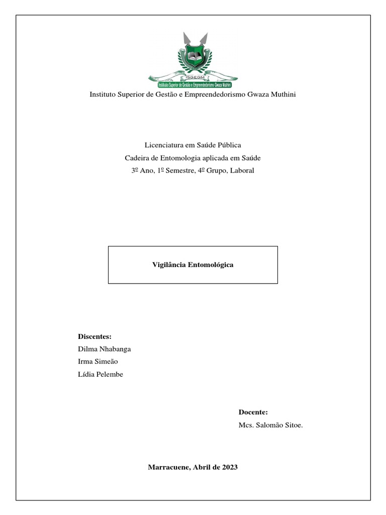 Instituto Superior de Gestão e Empreendedorismo Gwaza Muthini | PDF ...