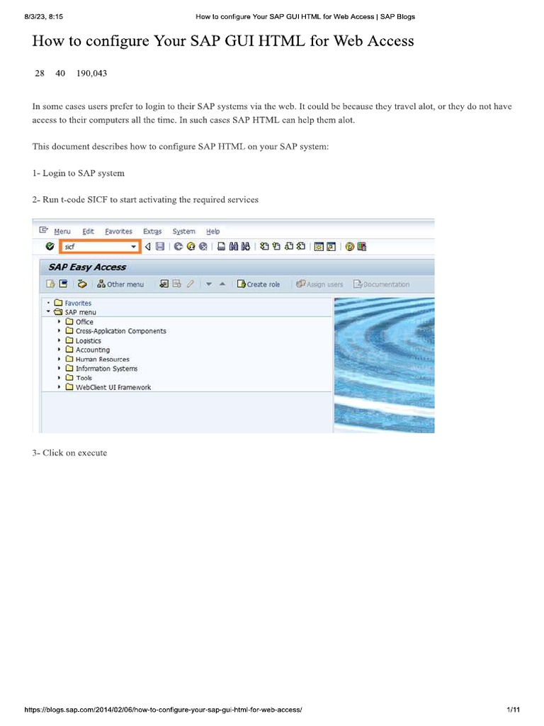 How To Configure Your SAP GUI HTML For Web Access | PDF