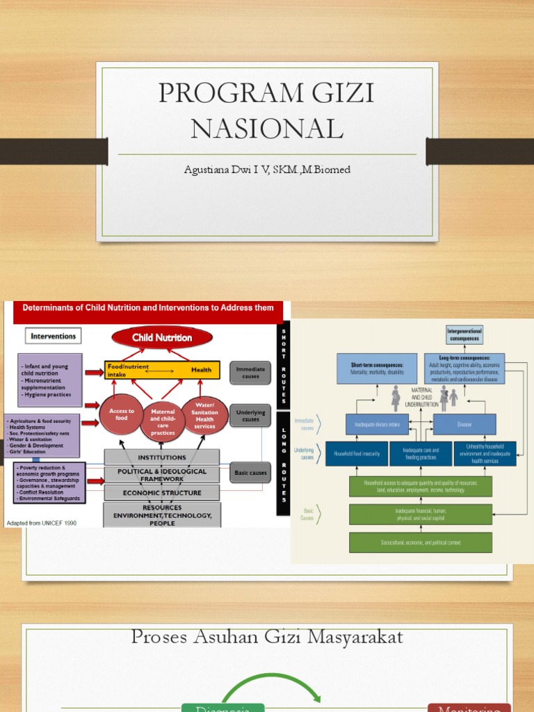 Program Gizi Nasional | PDF