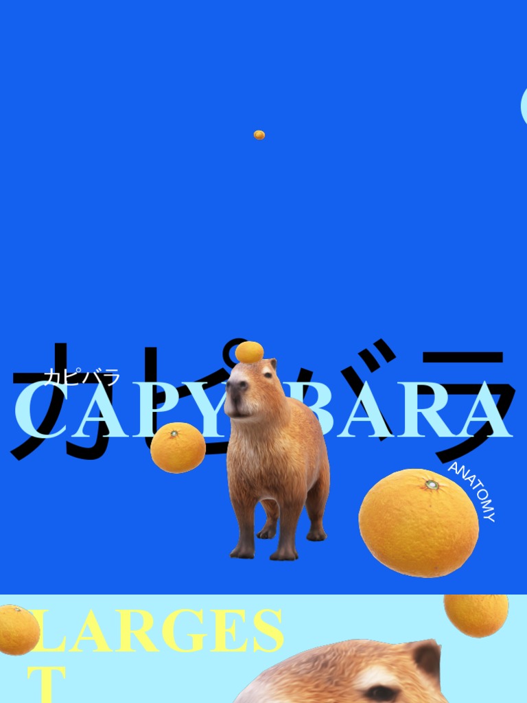 Capybara | PDF