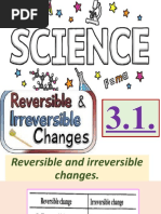 Reversible vs. Irreversible Changes Worksheet | PDF