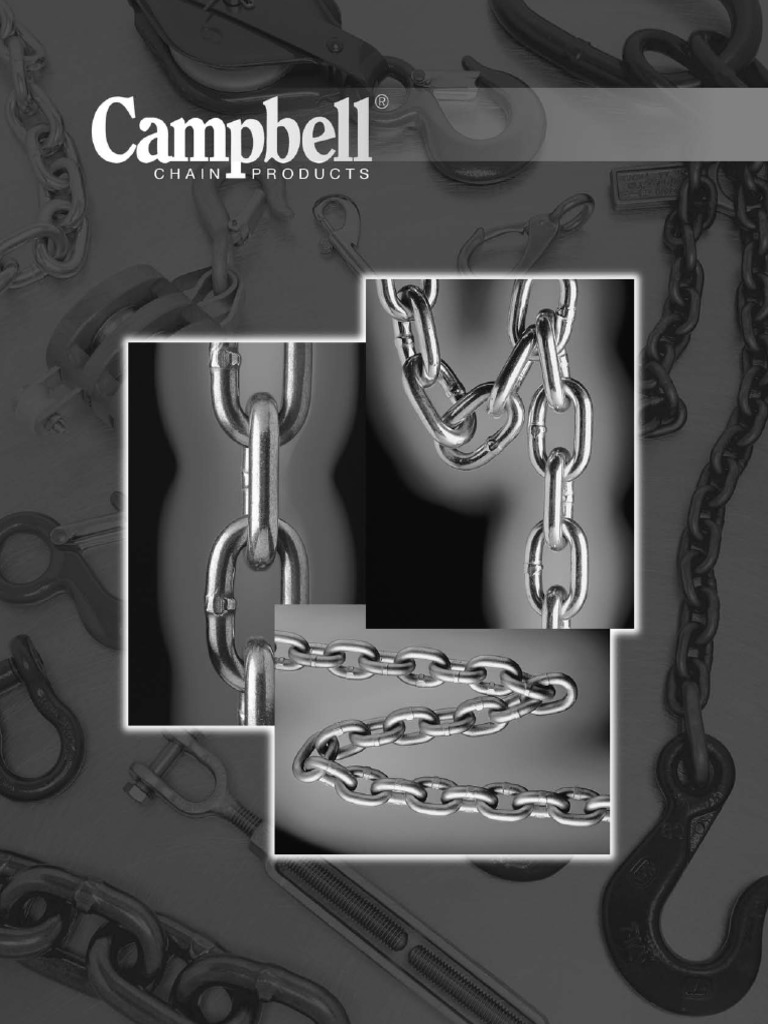 2007 Campbell Chain | PDF | Secondary Sector Of The Economy | Physical ...