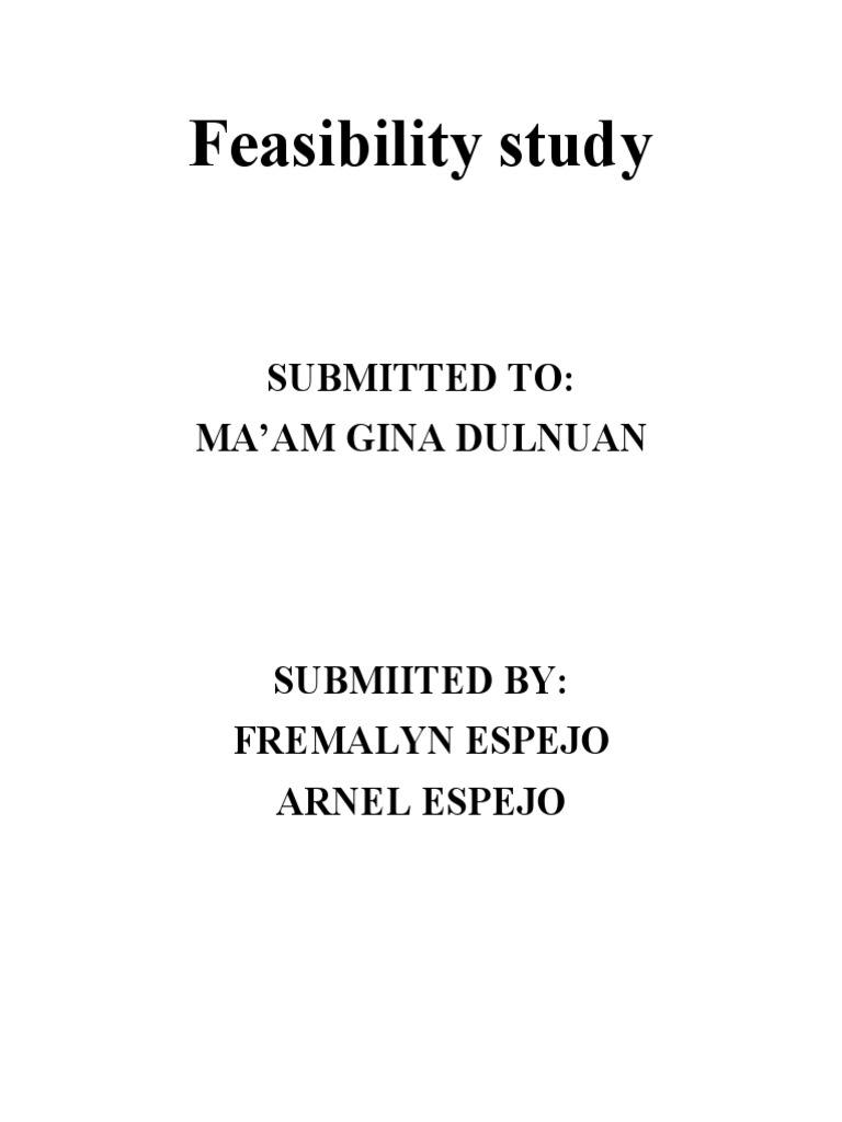 Feasibility Study | PDF