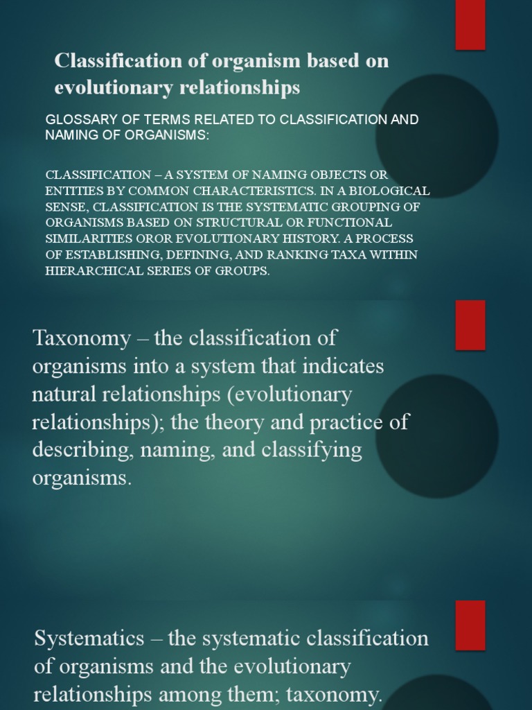 Organism Classification and Taxonomy Guide | PDF