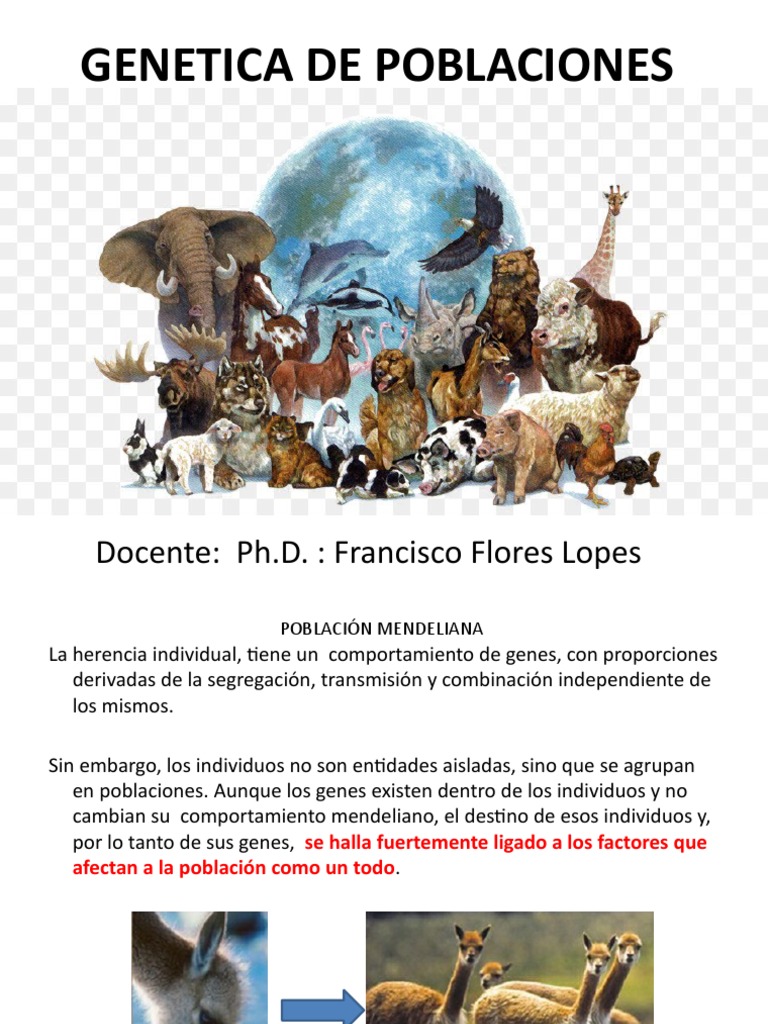 Genetica de Poblaciones | PDF | Evolución | Alelo