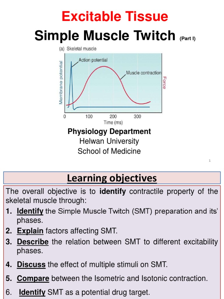 Simple Muscle Twitch: Excitable Tissue | PDF | Muscle Contraction ...
