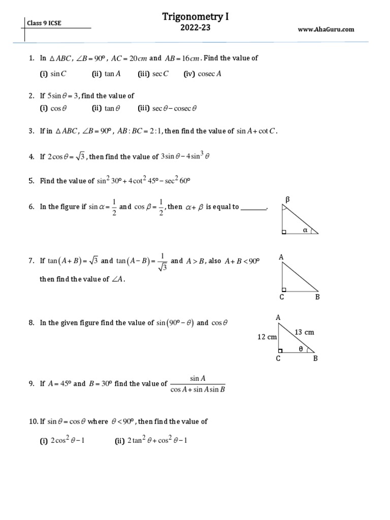 STD 9 ICSE Trigonometry WS - Docx - 1675509010543 - FdZga | PDF | Angle | Physical Quantities