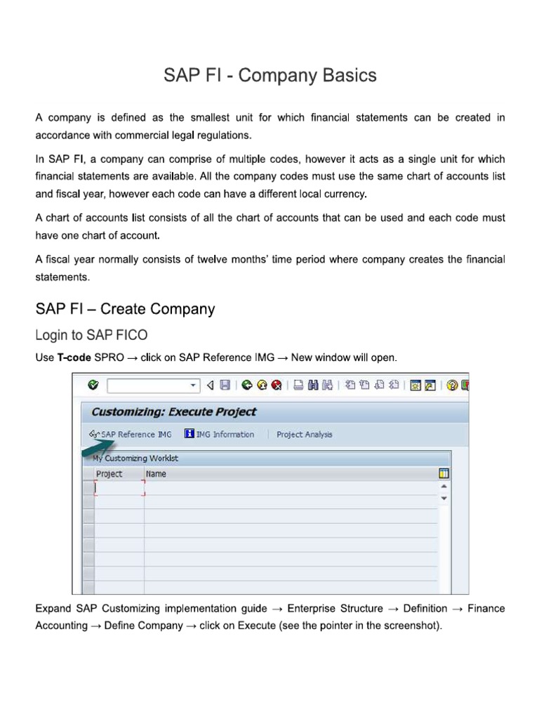 Sap Fico Company Basics | PDF