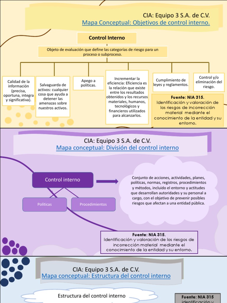 6v-Mapas Conceptuales | PDF | Evaluación | Contralor