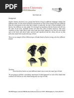 14 Answer Key Beaks of Finches Lab | PDF | Adaptation | Natural Selection