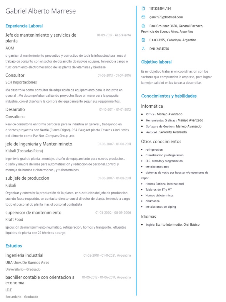 CV Gabriel | PDF | Ingeniería