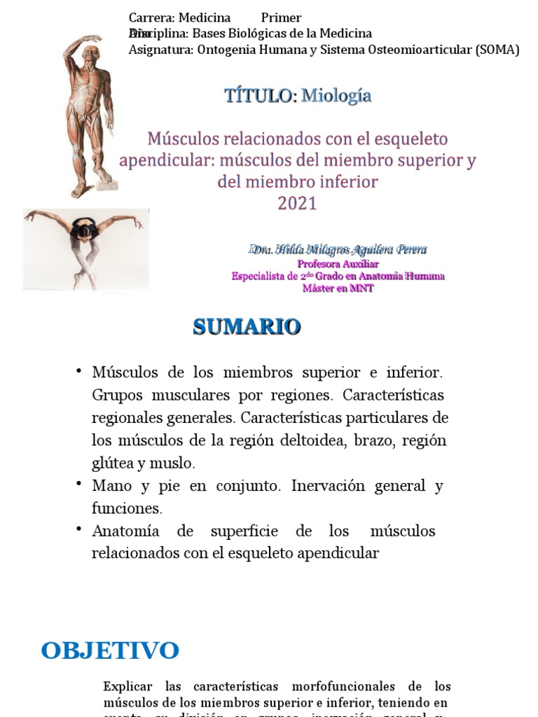 Músculos Del Esqueleto Apendicular HILDA 021 | PDF | Mano | Rodilla