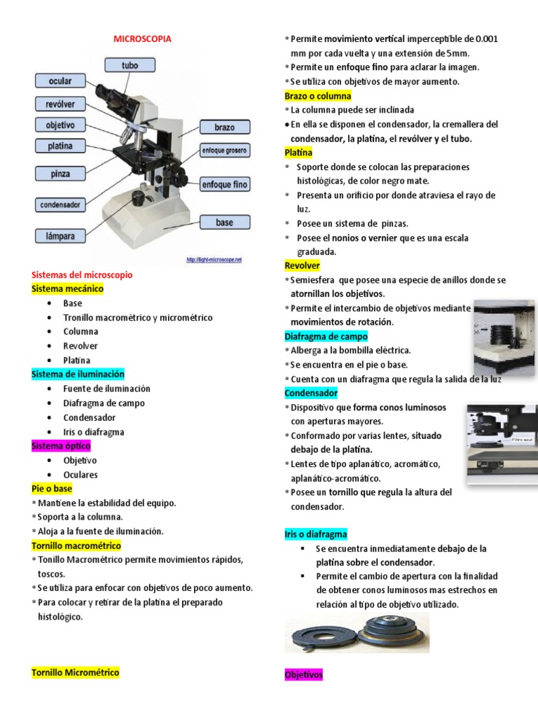 Microscopio Optico | PDF | Lente de la cámara | Ojo