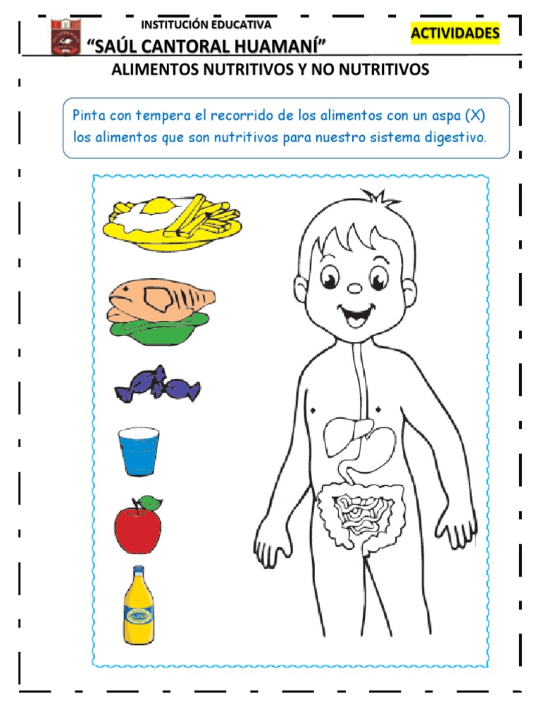 Ficha - Alimentos Nutritivos y No Nutritivos | PDF