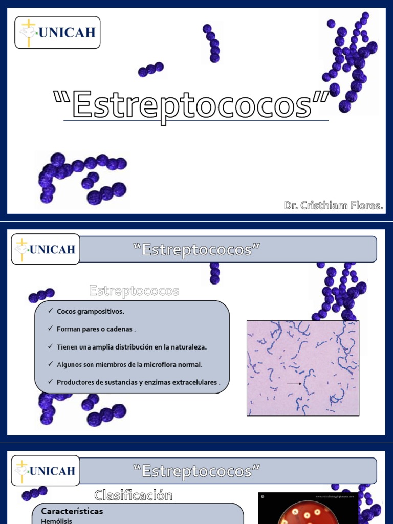 Estreptococos . | PDF | Estreptococo | Inmunología