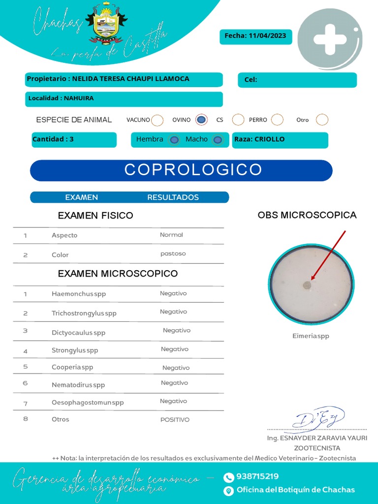 Resultado Analisis Coprologico 1 | PDF