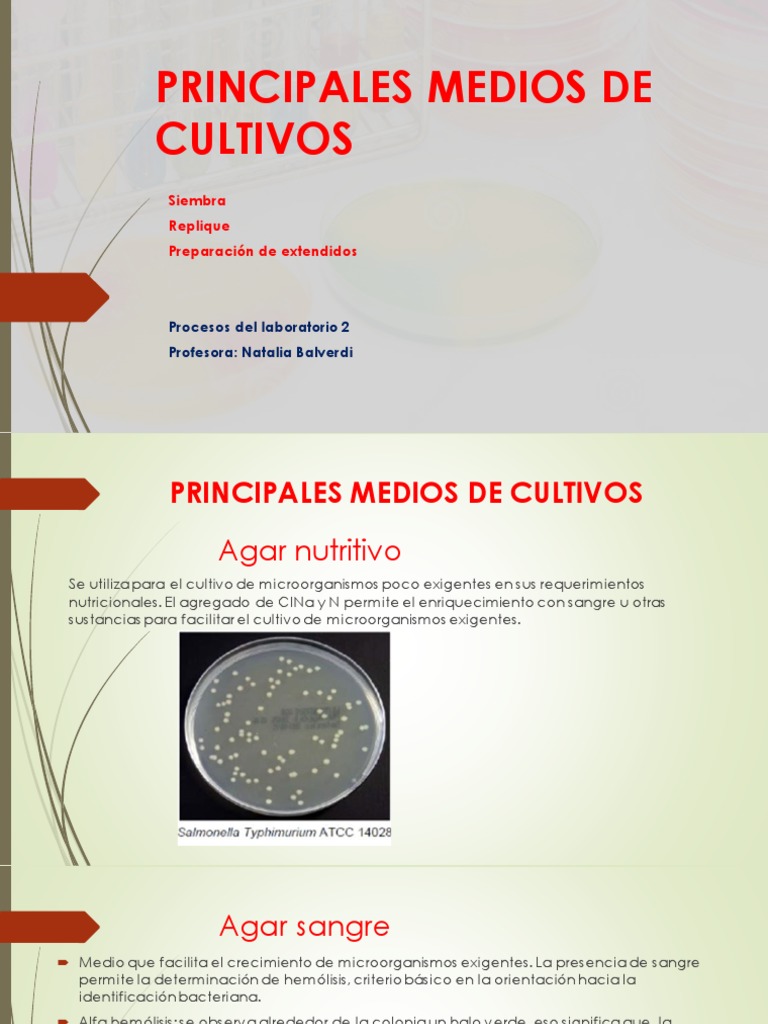 Medios de Cultivos-1 | PDF | Microbiología | Microscopía
