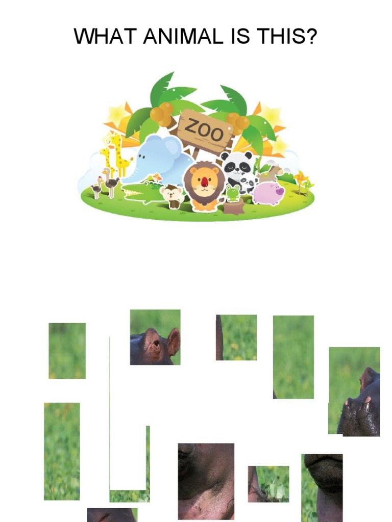 Animal Game | PDF