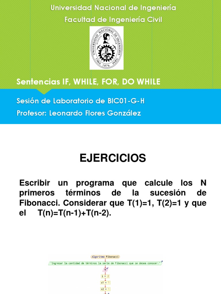 Sentencias IF, WHILE, DO WHILE | PDF