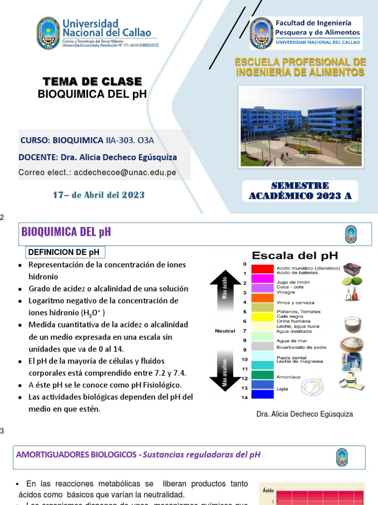 Presentacion - Bioquimica - Del - PH - S3 - Teoria 2023a | PDF | Solución tampón | Almidón