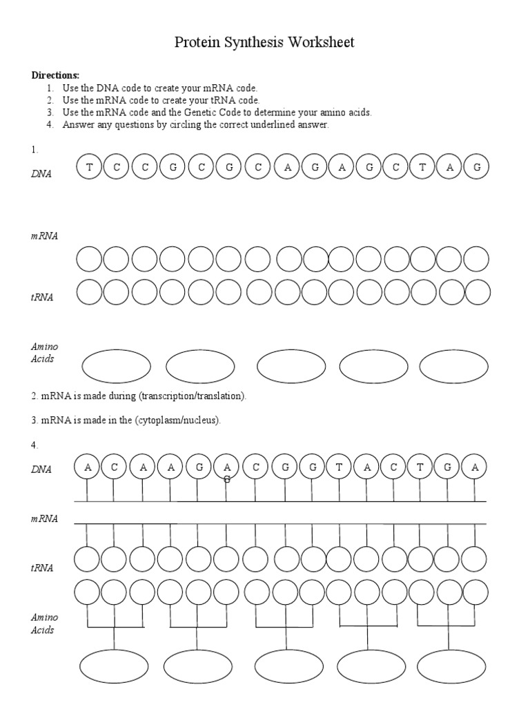 Protein Synthesis Worksheet | PDF