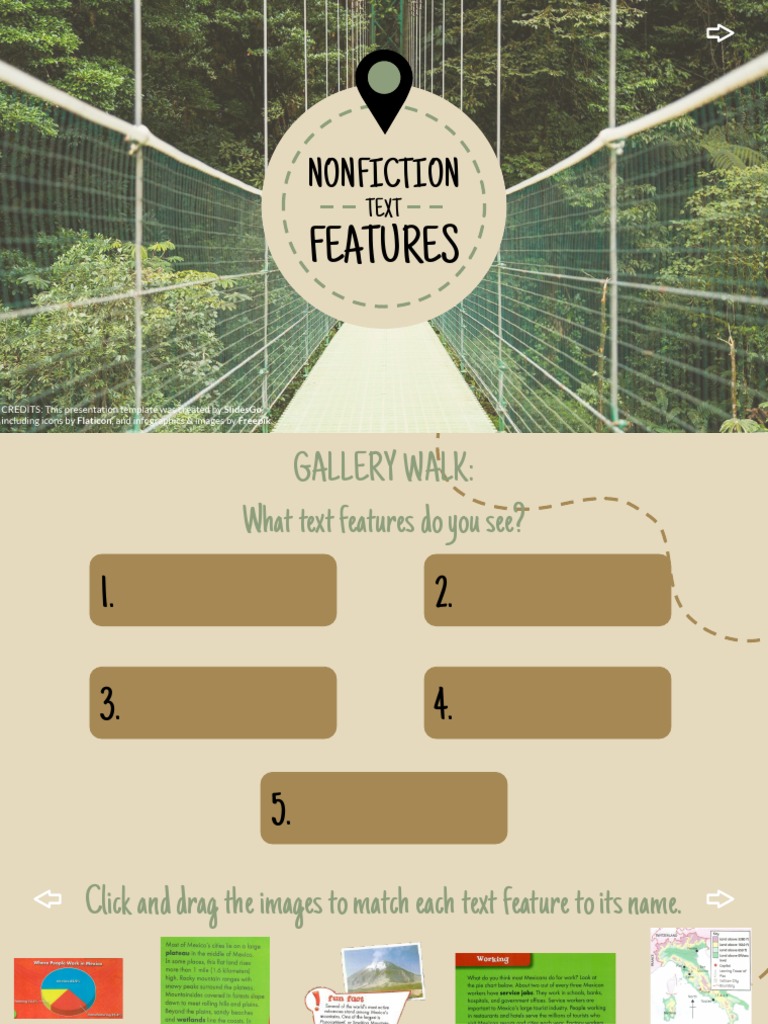 Nonfiction Text Features Lesson | PDF | Infographics | Chart