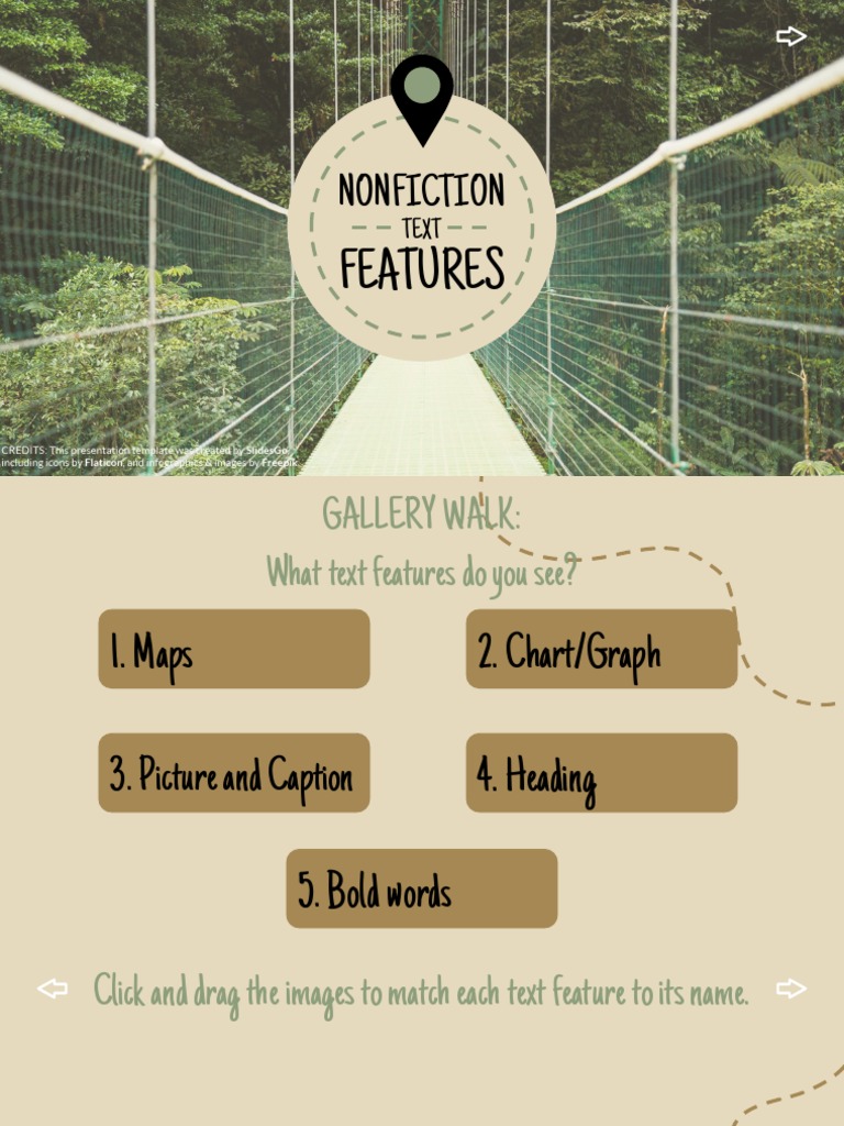 Key Nonfiction Text Features Lesson | PDF