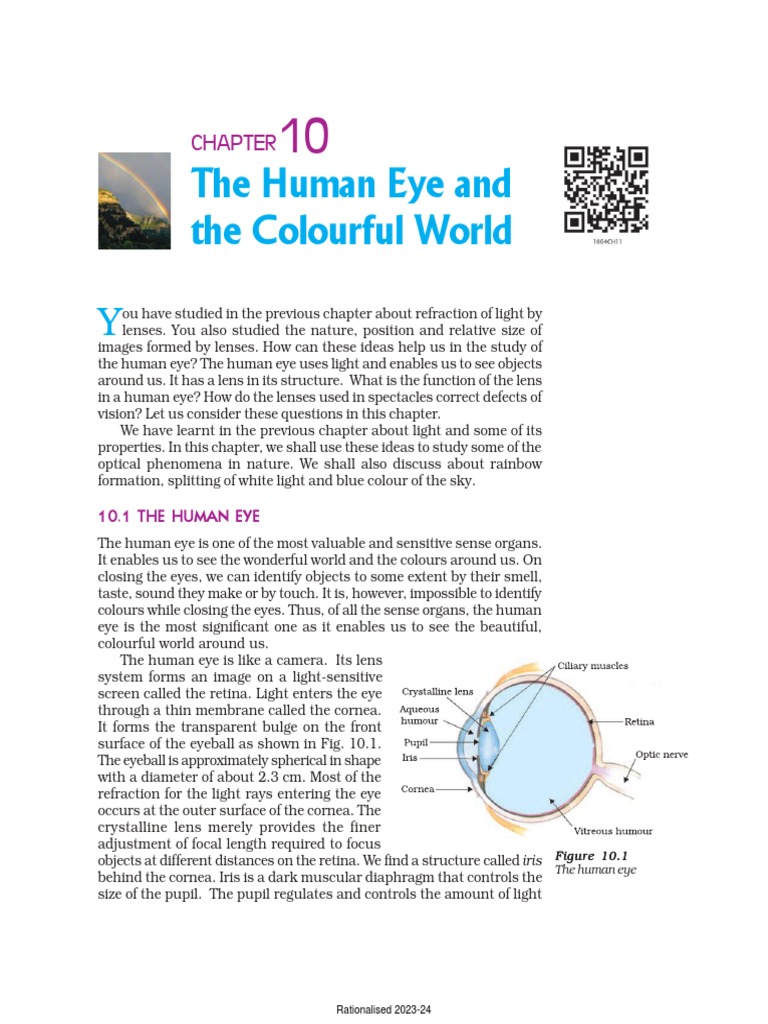Human Eye: Structure and Vision Defects | PDF | Rainbow | Eye