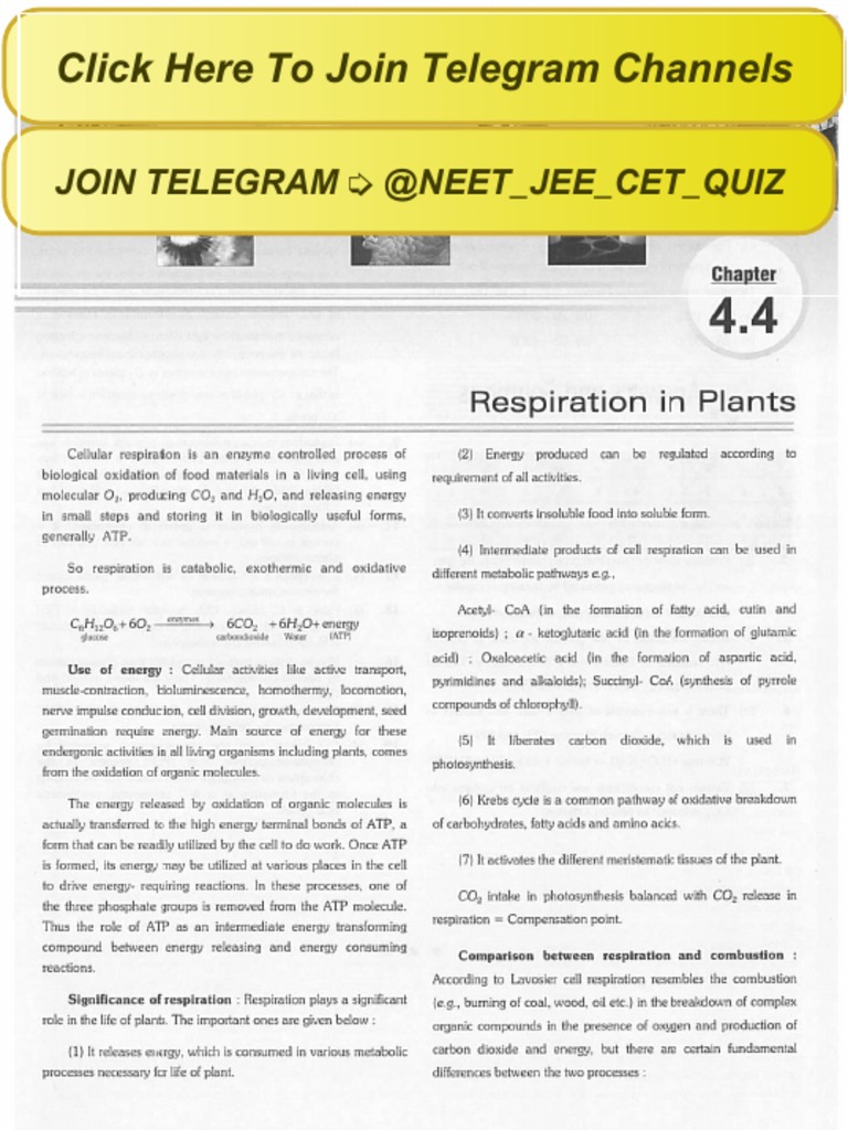 Respiration in Plants Biology Notes | PDF
