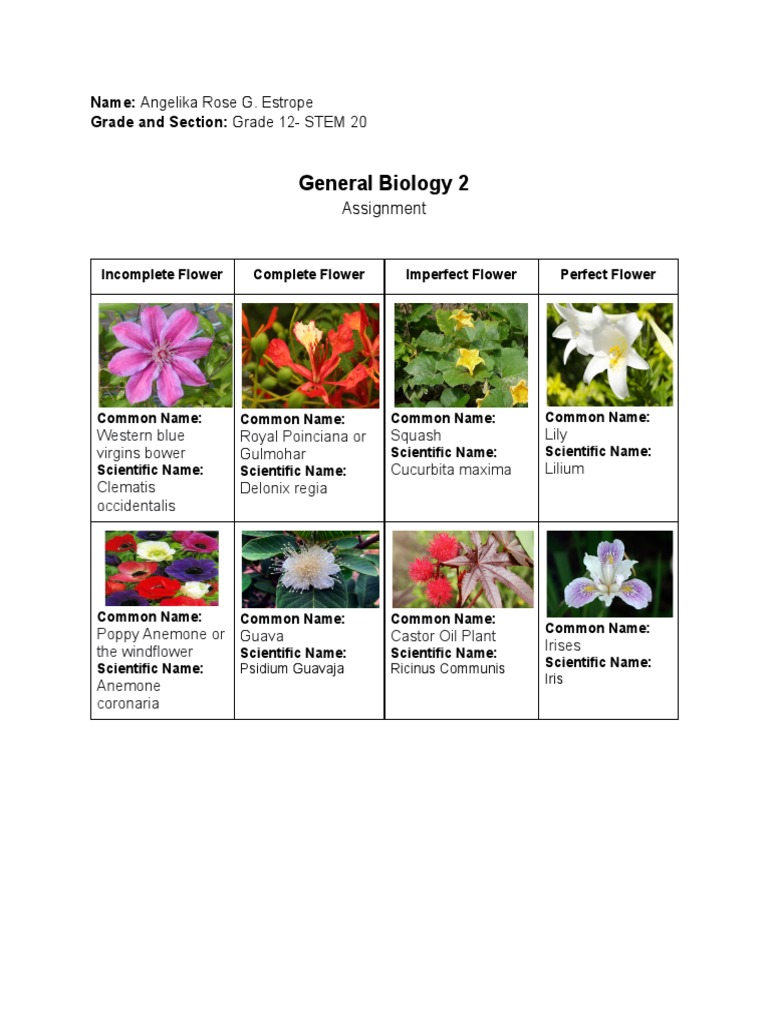 Scientific Names of Common Flowers | PDF