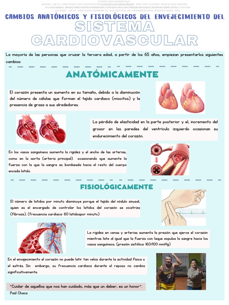 Sistema Cardiovascular | PDF