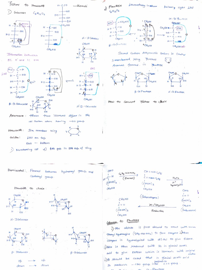 A Detailed Explanation of Carbohydrate Synthesis Reactions Including ...
