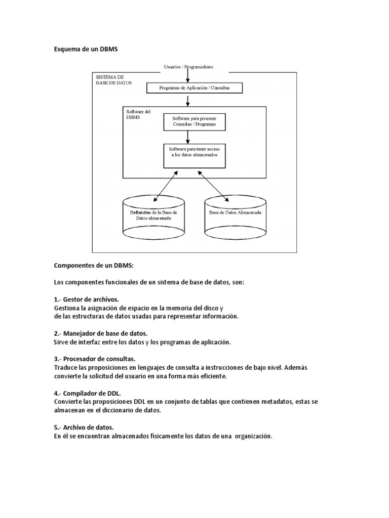 Esquema de Un DBMS | PDF | Bases de datos | Lenguaje de programación