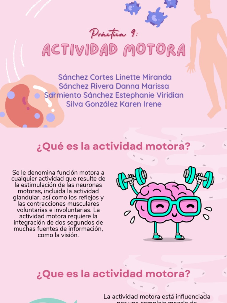 Definición y Funciones de la Actividad Motora | PDF | Neurona | Cerebro